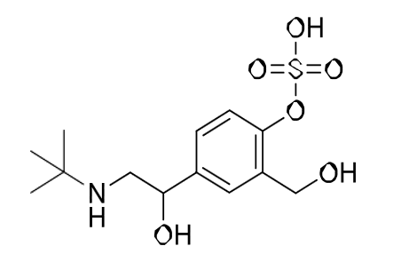 Salbutamol 4-O-sulfate CAS 63908-03-2 - Caming Pharmaceutical Ltd ...